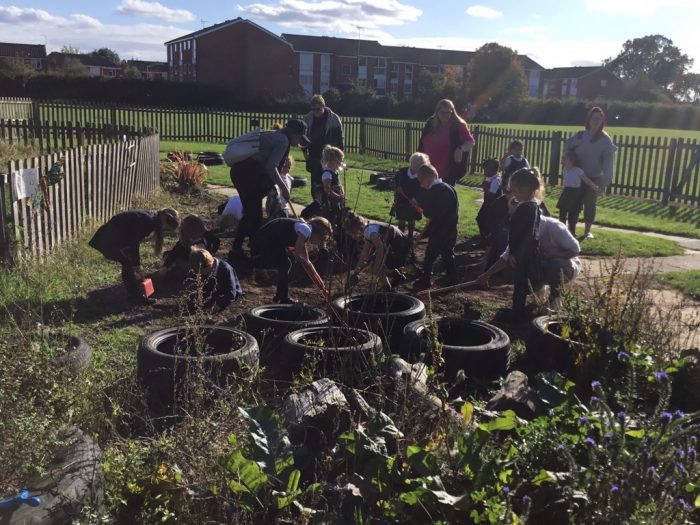 Springfield Primary School | The Enormous Turnip